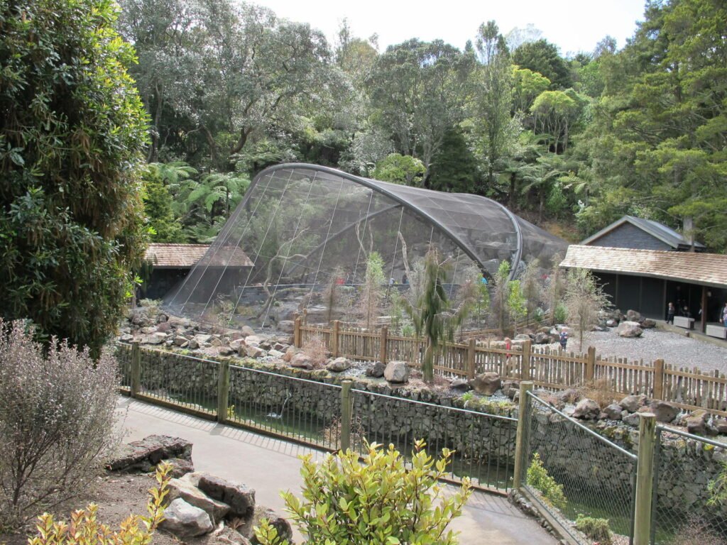 AUCKLAND ZOO - Kiwi Vision